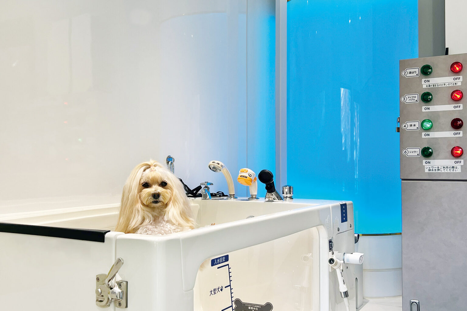 Fuwawan | DOGspa De Smile ドッグスパ-デ-スマイル-全国のセルフドッグスパ検索サイト-